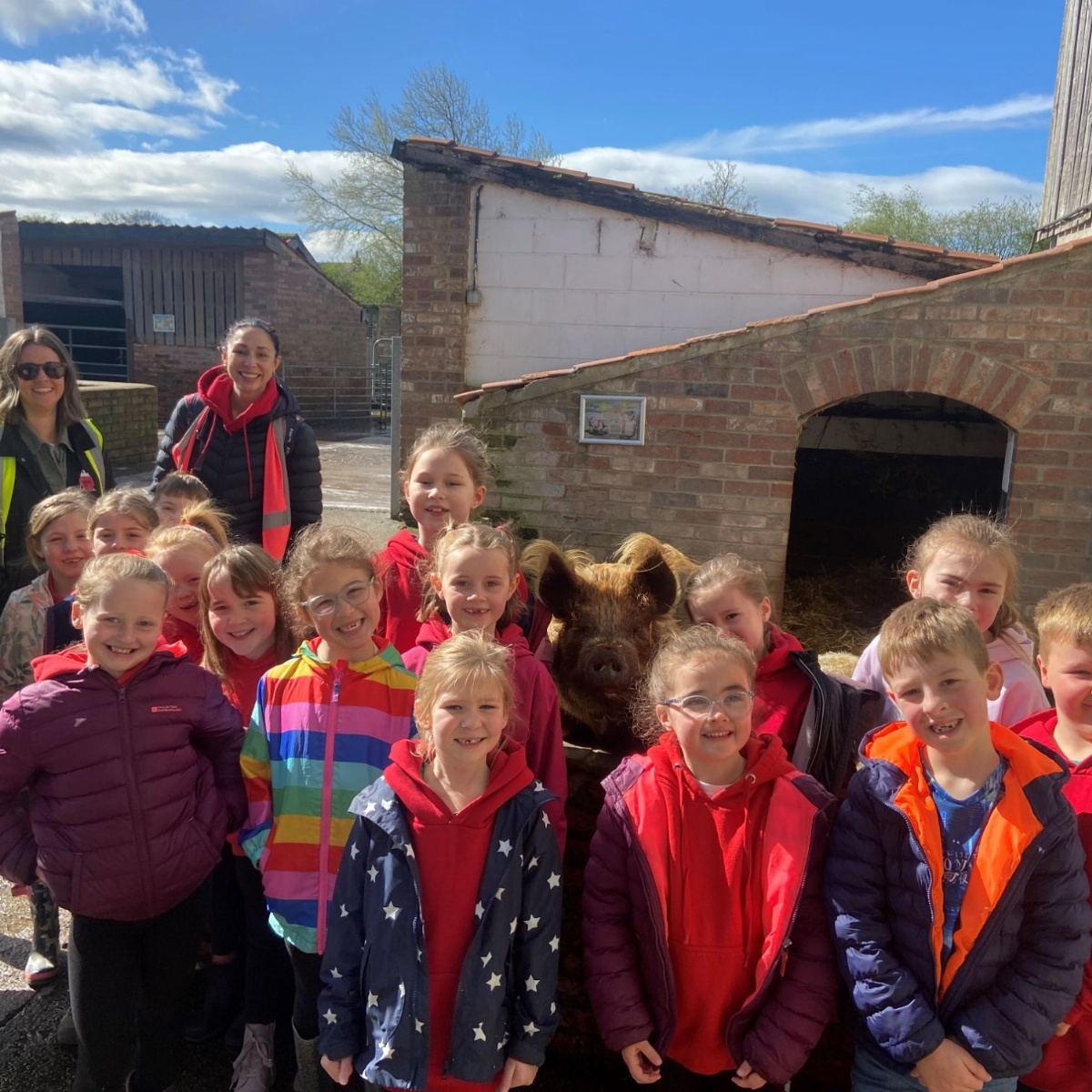 The Federation of Holy Trinity Church of England Schools - Big Sheep ...